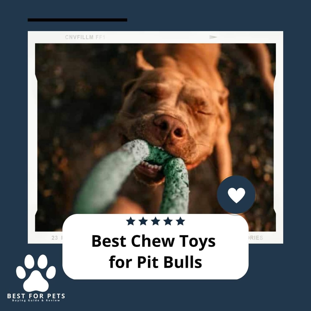 The 7 Best Chew Toys For Pit Bulls The 7 Best Chew Toys For Pit Bulls